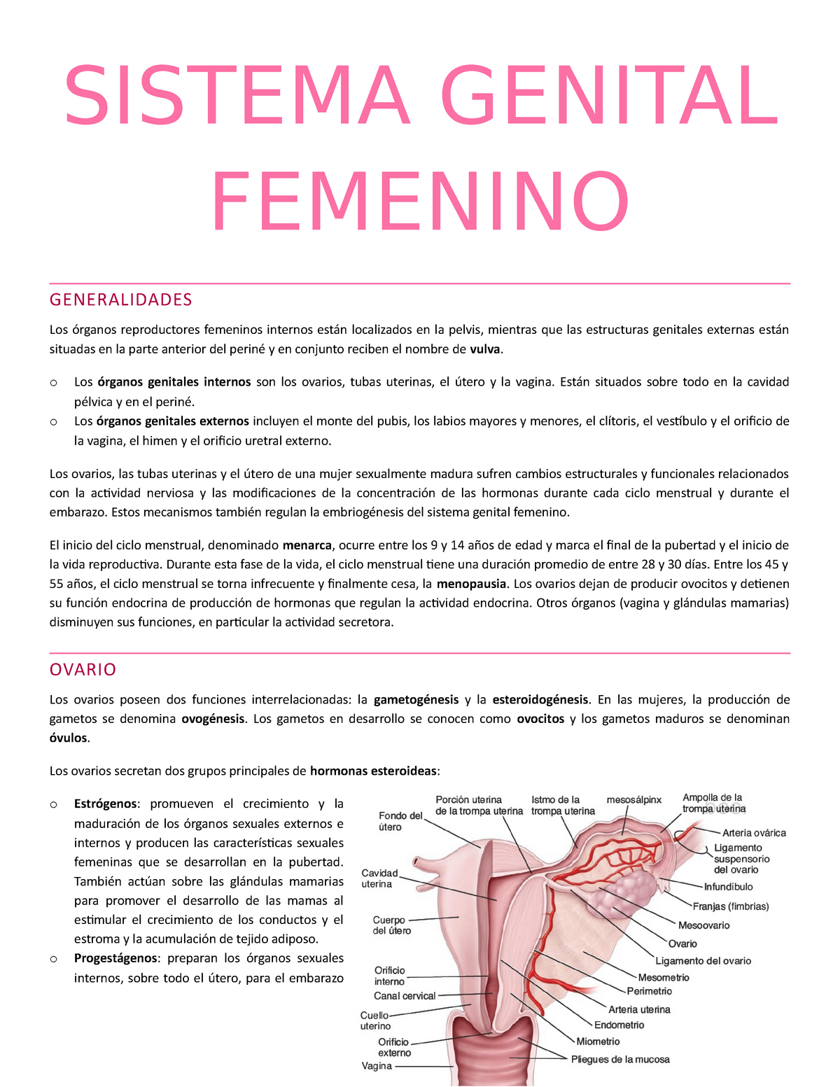 01 Anatomia Y Fisiologia Del Aparato Genital Femenino Studocu Images