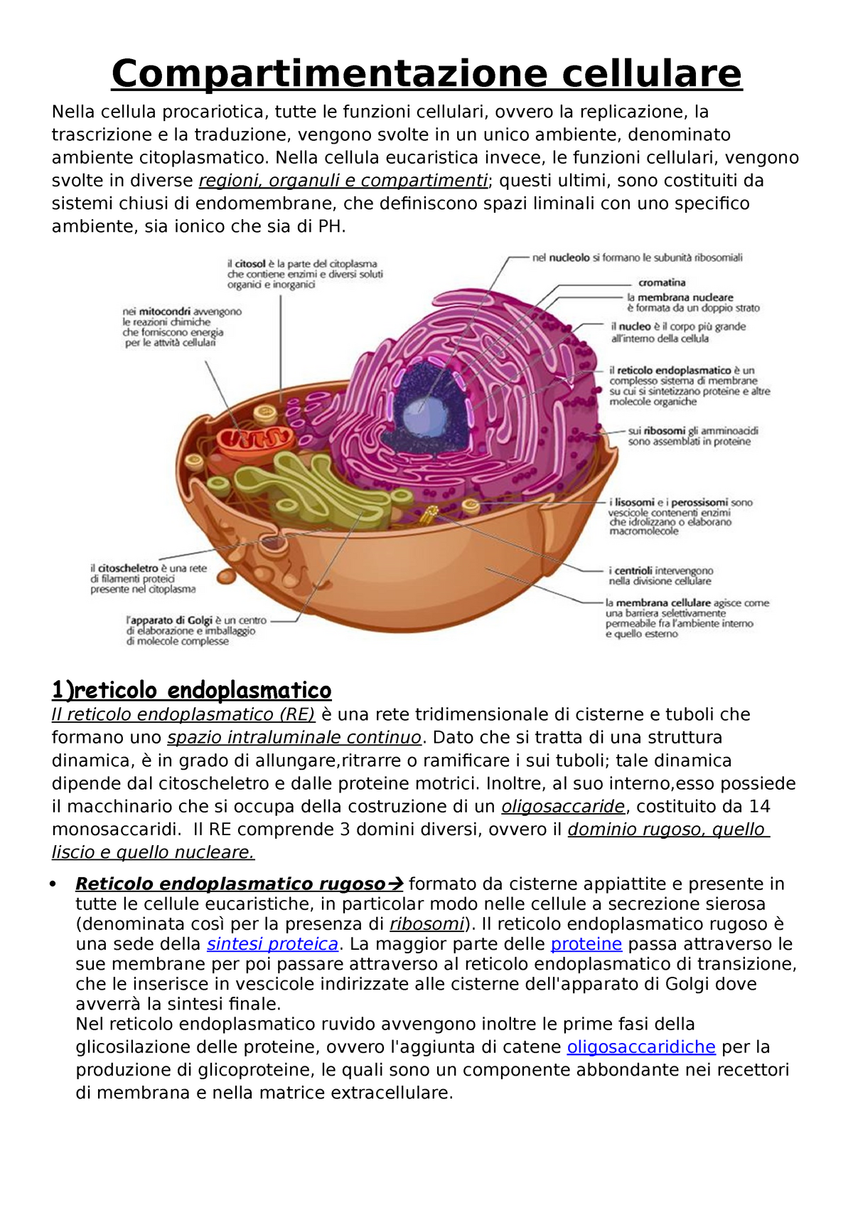 Compatimentazione Riassunto Biologia Della Cellula