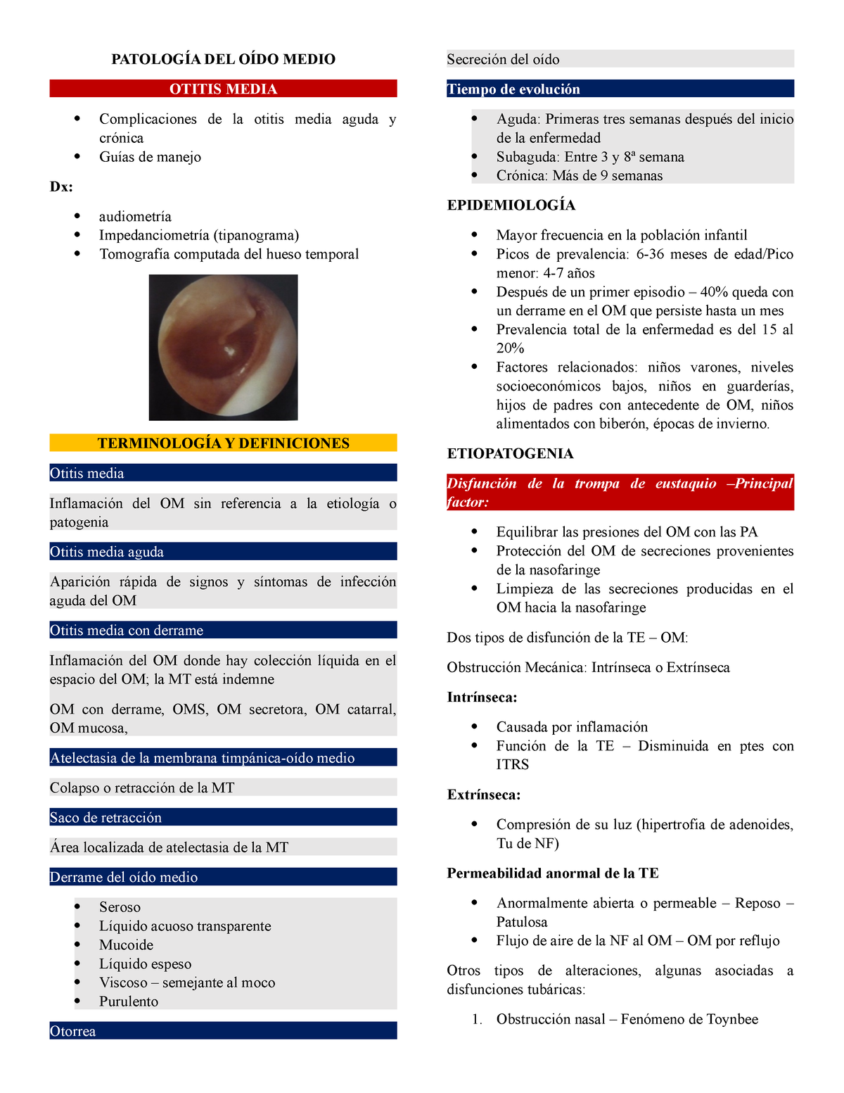 Patología Del OÍdo Medio PatologÍa Del OÍdo Medio Otitis Media