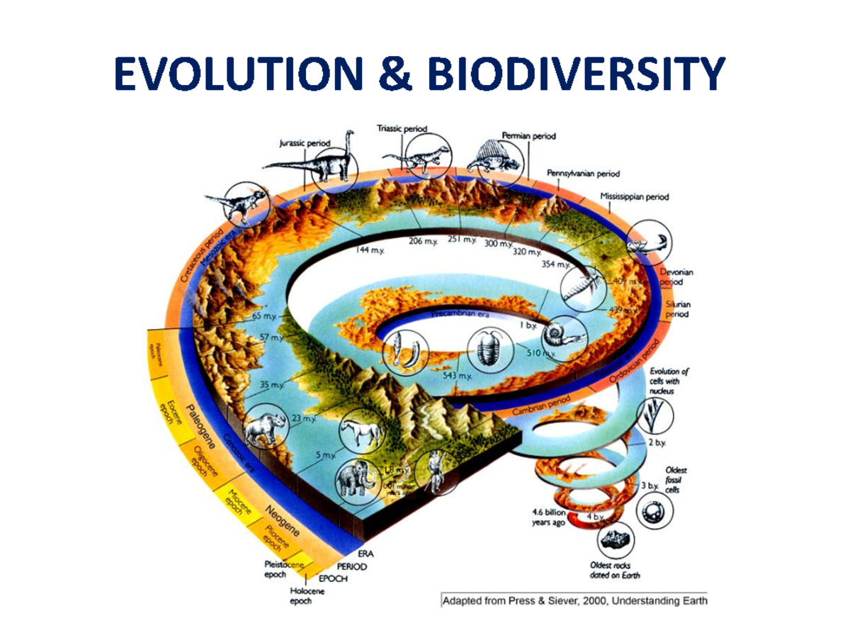 Seminar Evolution Biodiversity Evolution And Biodiversity