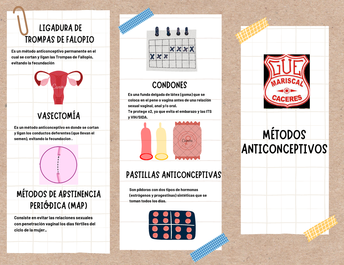 Folleto Tríptico Flyer Academia De Clases De Repaso Escolar Doodle