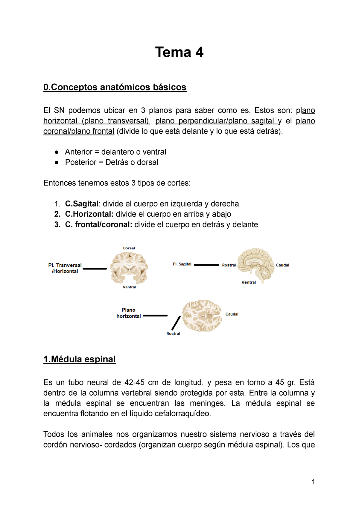 Tema 4 Se Trata De Unos Apuntes De Psicología Biológica Dada Por El