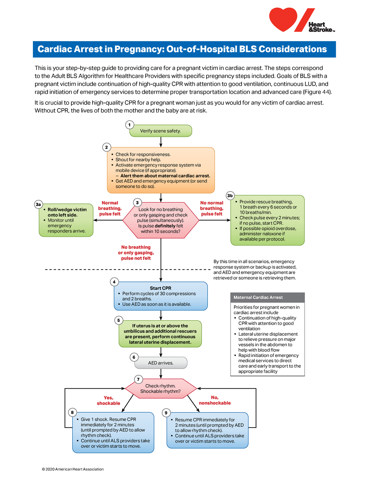 Pediatric Basic Life Support Bls Algorithm For Healthcare