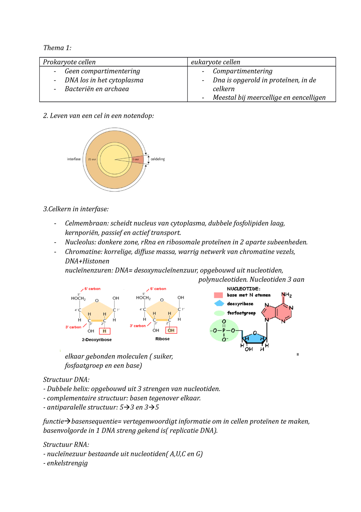 Thema 1 Bio Samenvatting Biologie Biogenie 62 Thema 1 Prokaryote