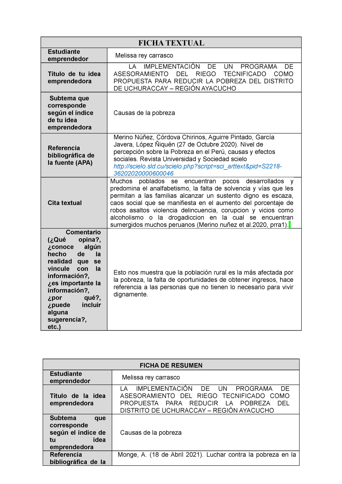 Formatos De Fichas Textual Y De Resumen Corregido 2 Competencia