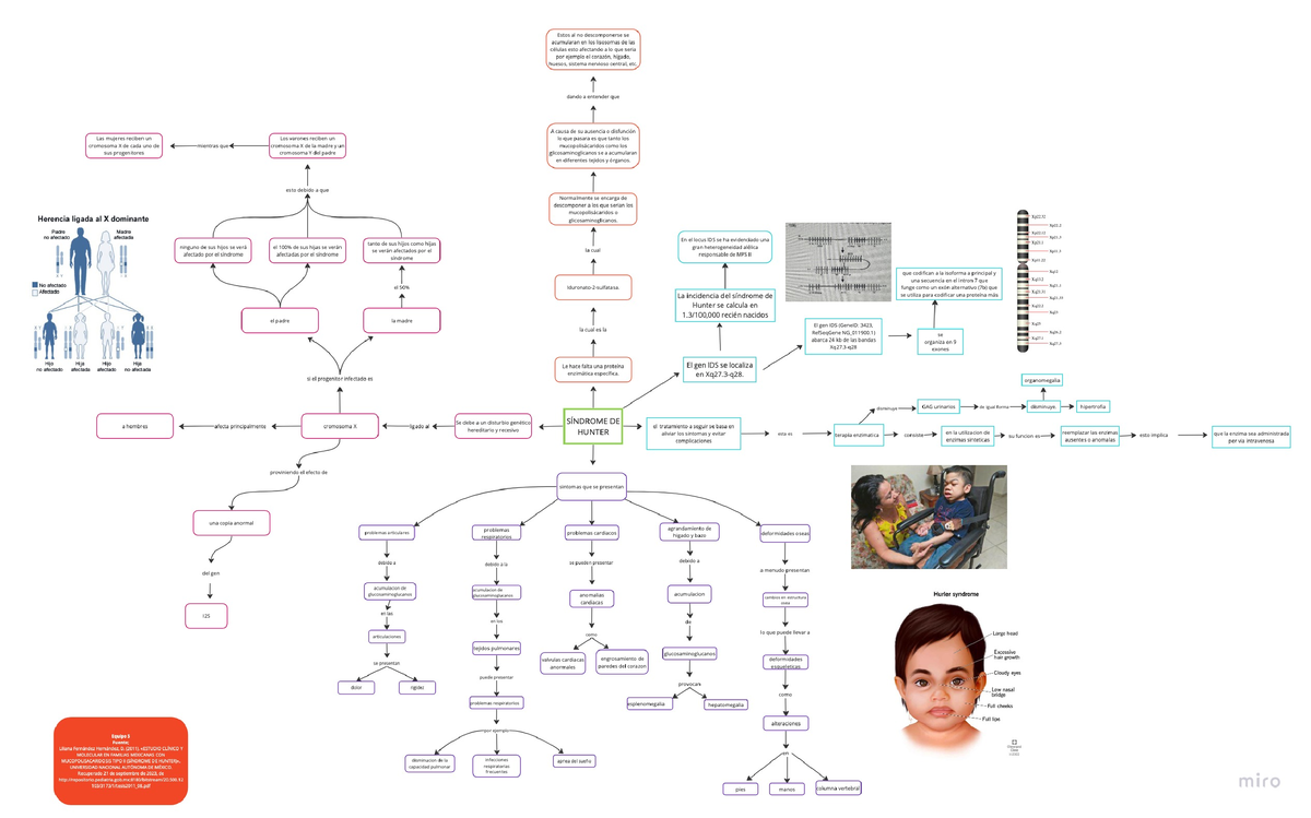 Sindrome De Hunter Mapa Conceptual Embriología Y Fundamentos De