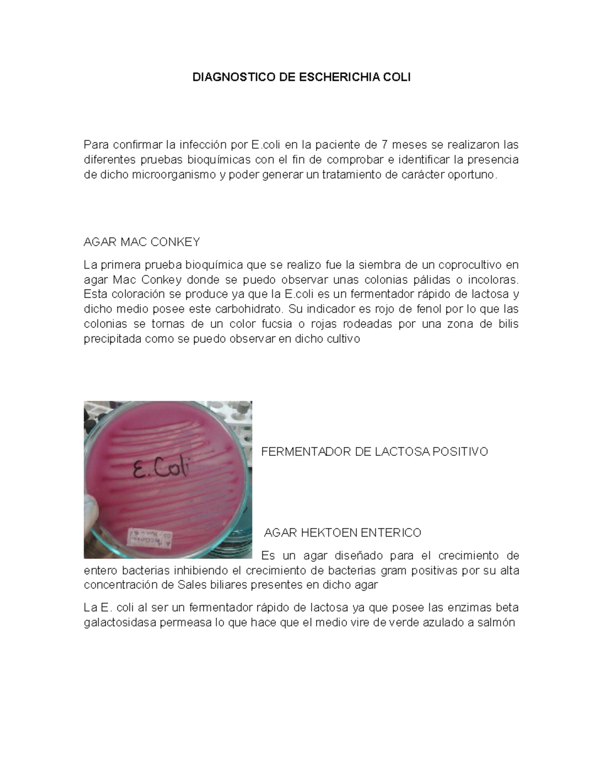 Diagnostico Escherichia Coli Diapositivas Especialidades