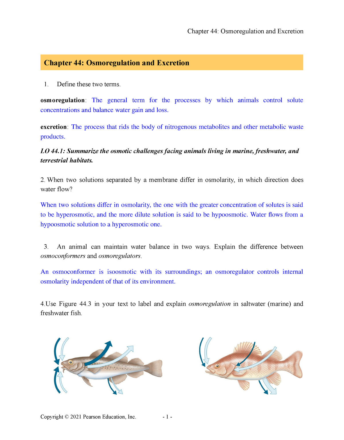 Ch 44 Active Study Key Osmoregulation And Excretion Chapter 44