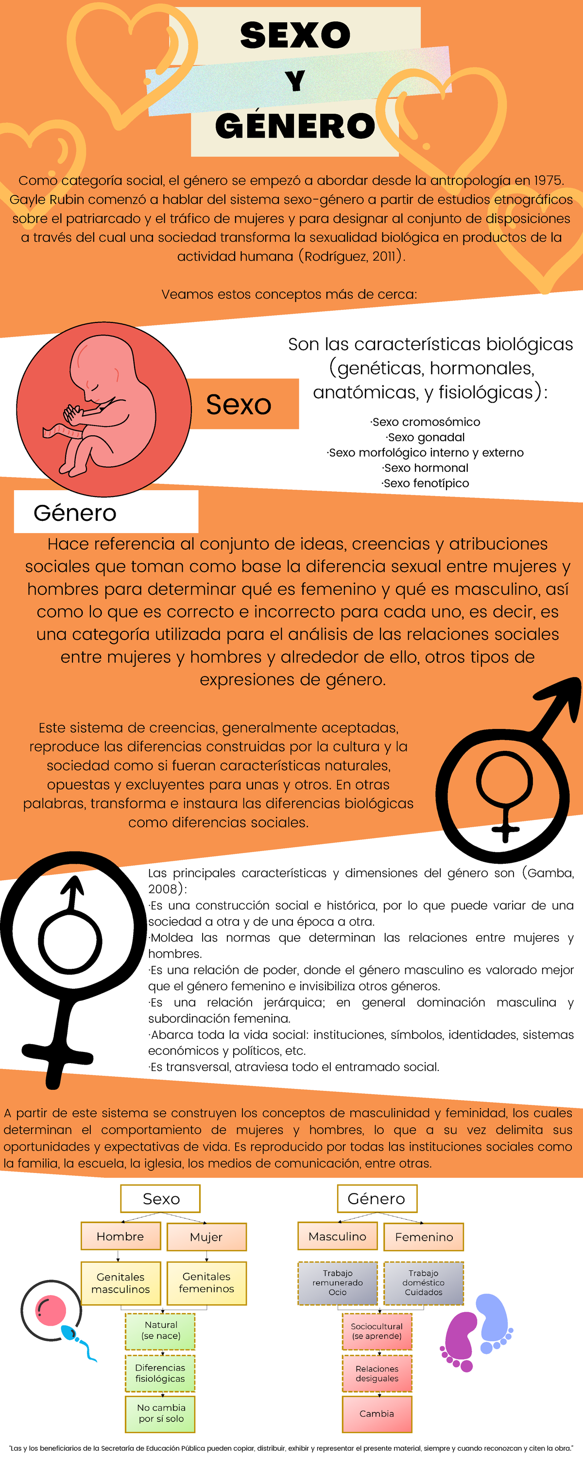 Sexo Y Género Infografía De Sexo Y Sexualidad Sexo GÉnero Y Sexo