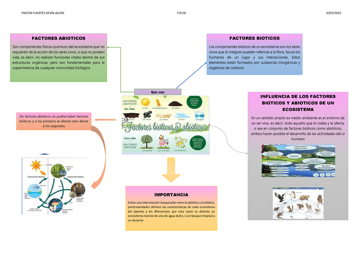 Arriba 35 Imagen Mapa Mental Factores Bioticos Abzloc