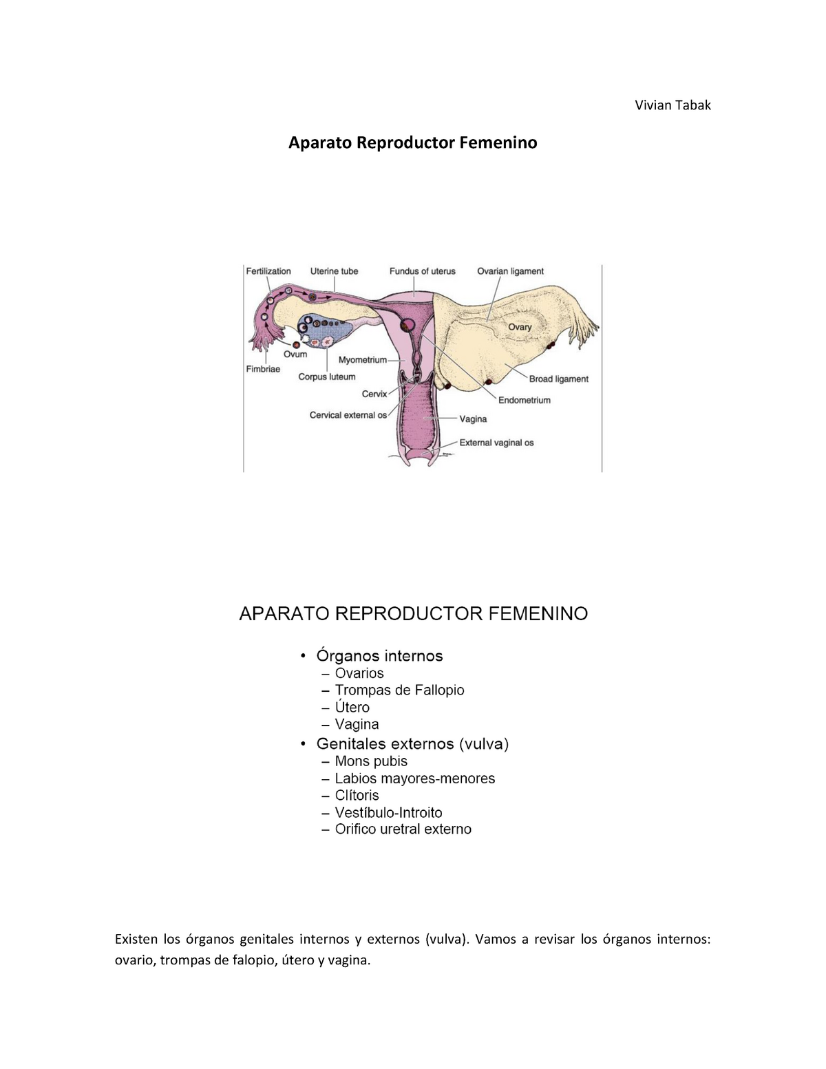 Aparato Reproductor Femenino Apuntes Vivian Tabak Aparato Reproductor