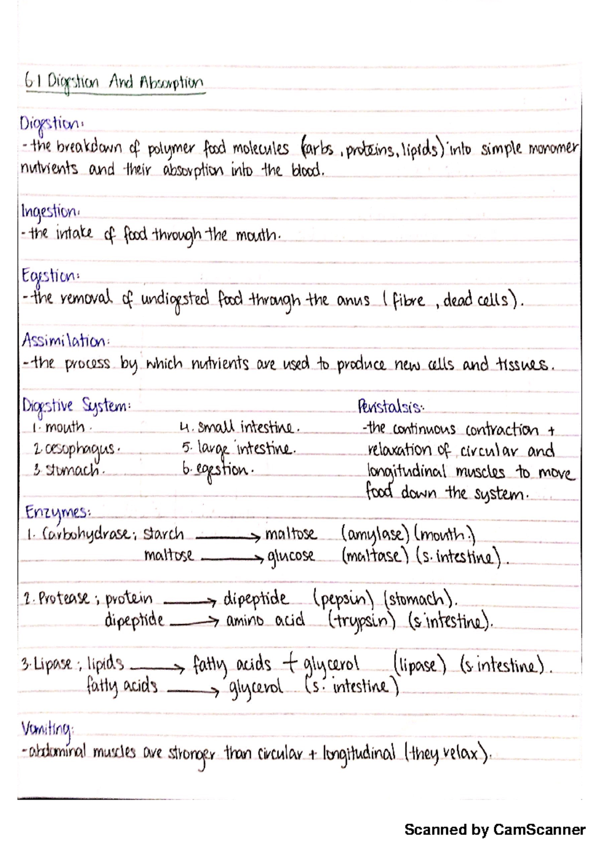 Ib Biology Hl Chapter 6 Condensed Studocu