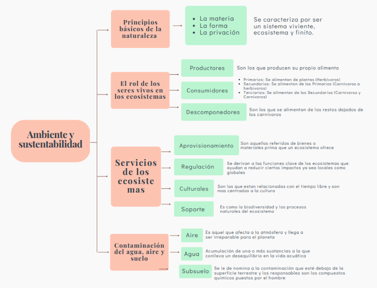 Cuadro Sinóptico Responsabilidad Social Y Desarrollo Sustentable