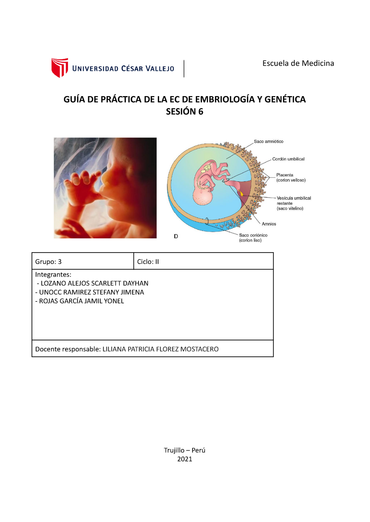 GuÍa Practica 6ta Sesión Embriologia Embriología Y Genética Ucv