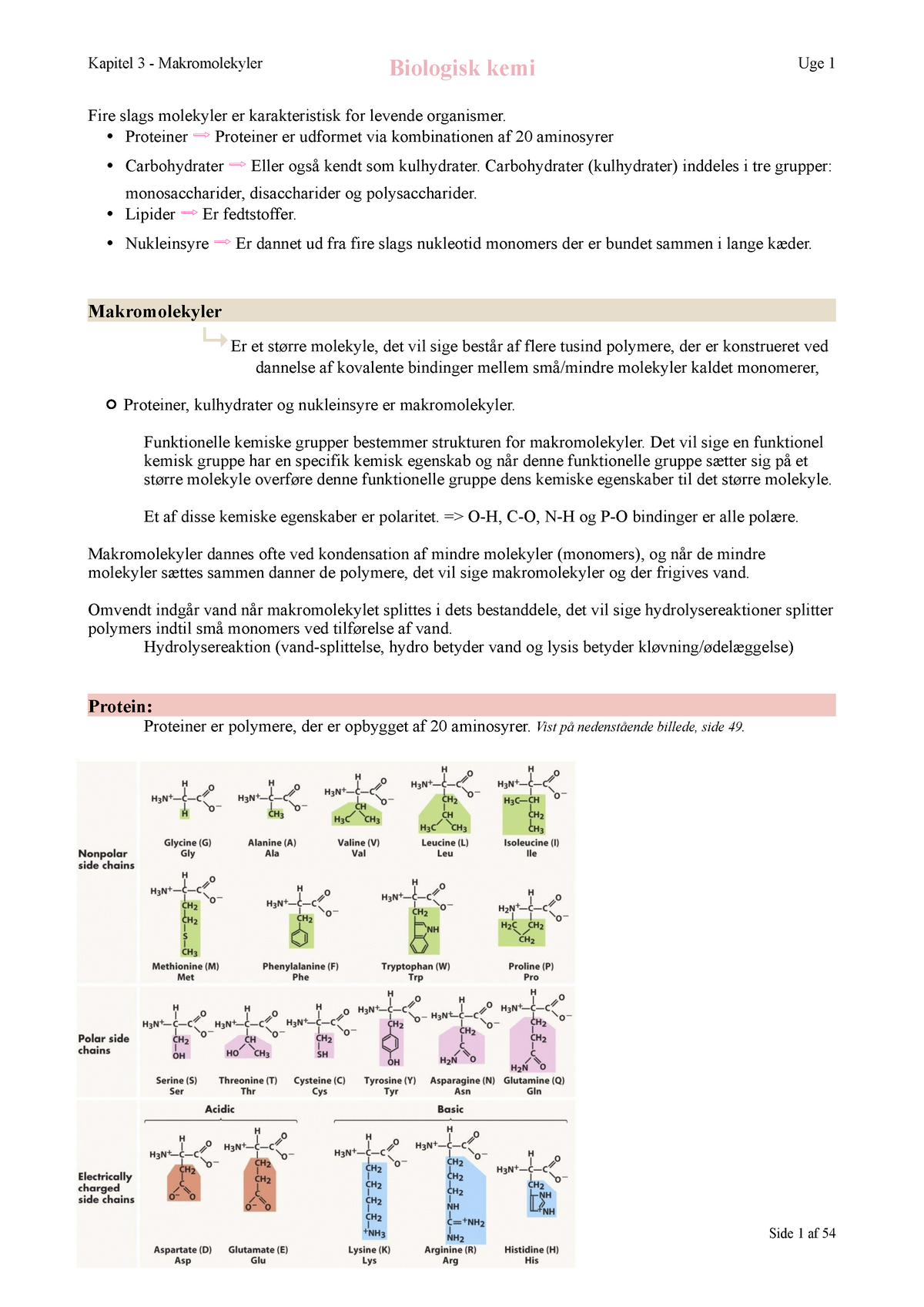 Pensum Biologisk Kemi 23932 Kapitel 3 Makromolekyler Biologisk