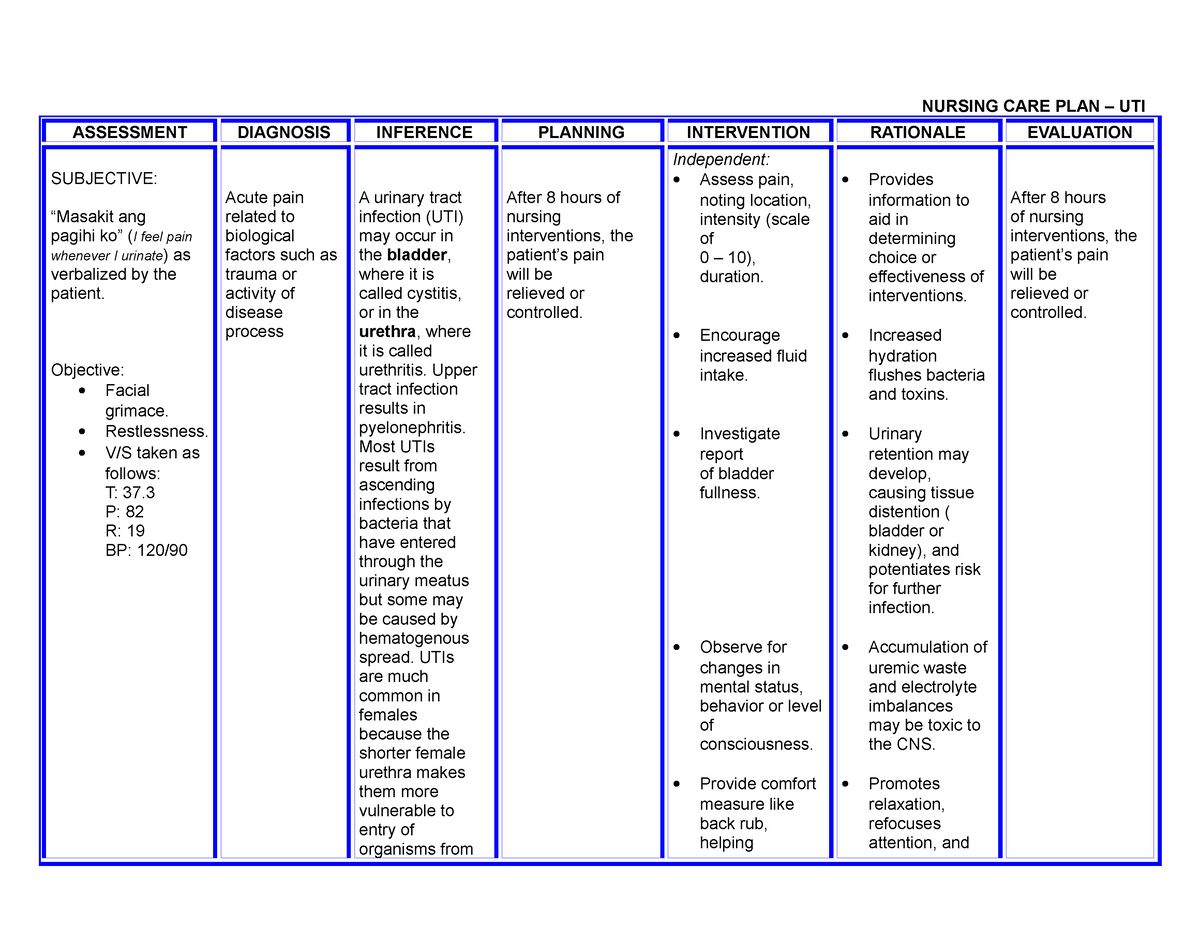 Uti Care Plan Sample