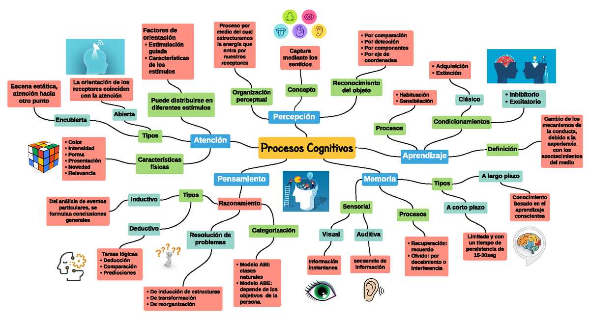 Mapa Mental Procesos Cognitivos Básicos Procesos Cognitivos