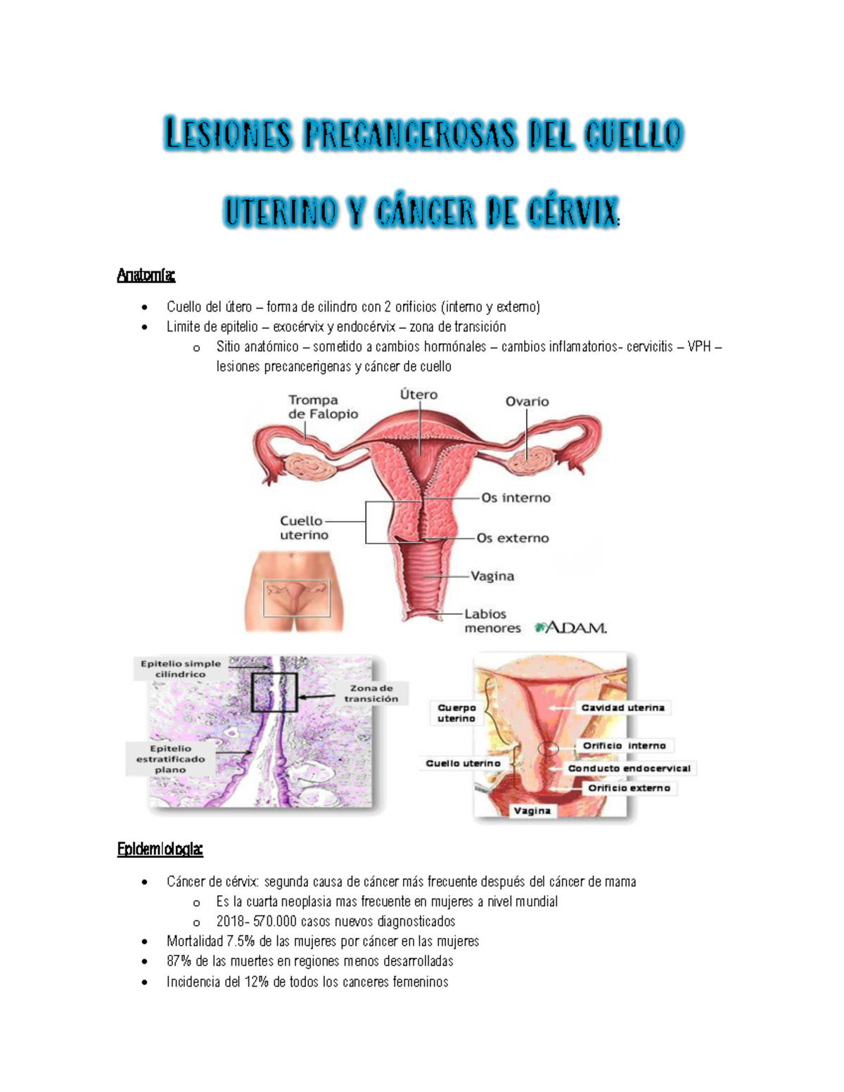 Lesiones Precancerosas Del Cuello Uterino Y Cáncer De Cérvix