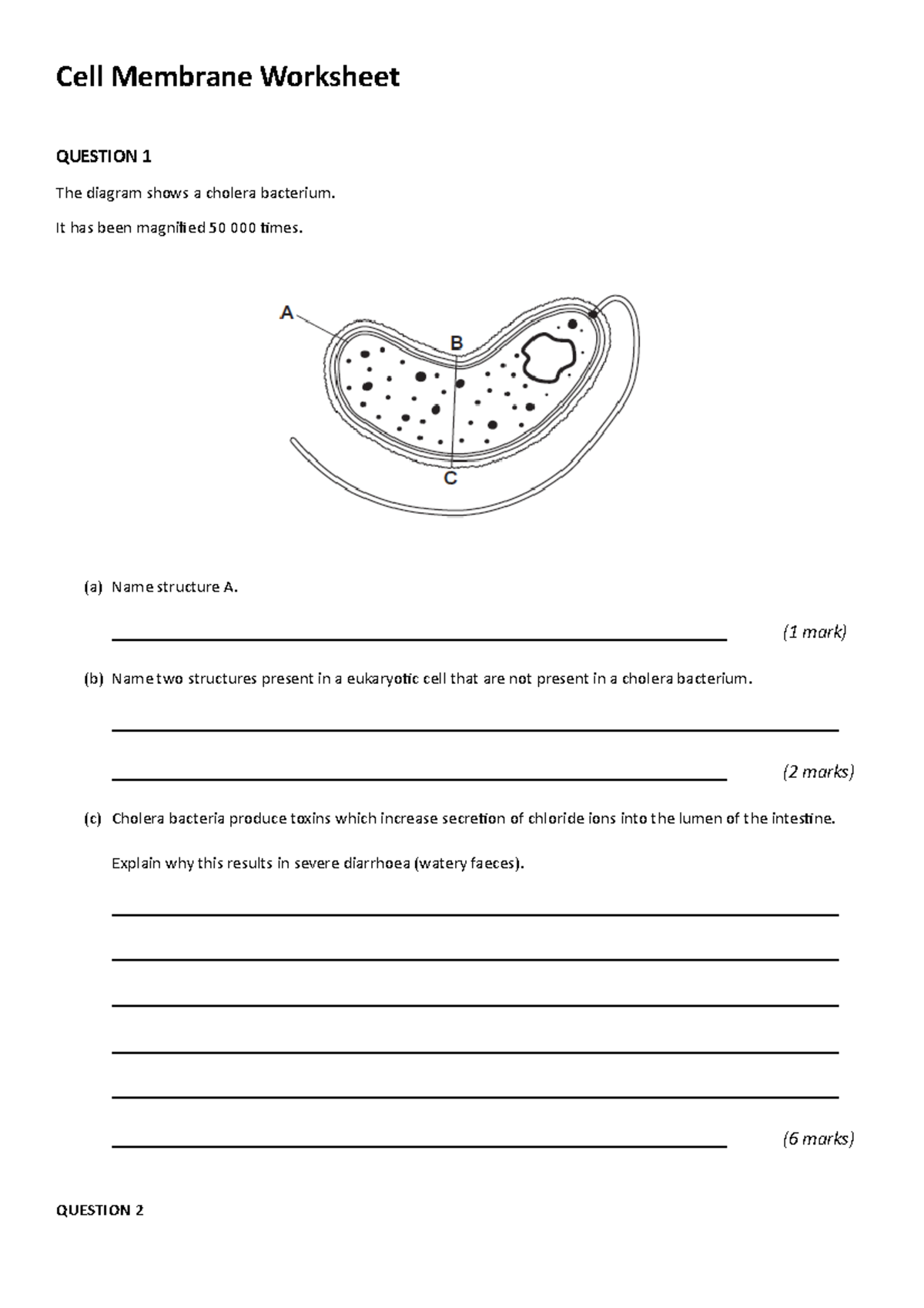 Assignment Cell Membrane Cell Membrane Worksheet Question 1 The