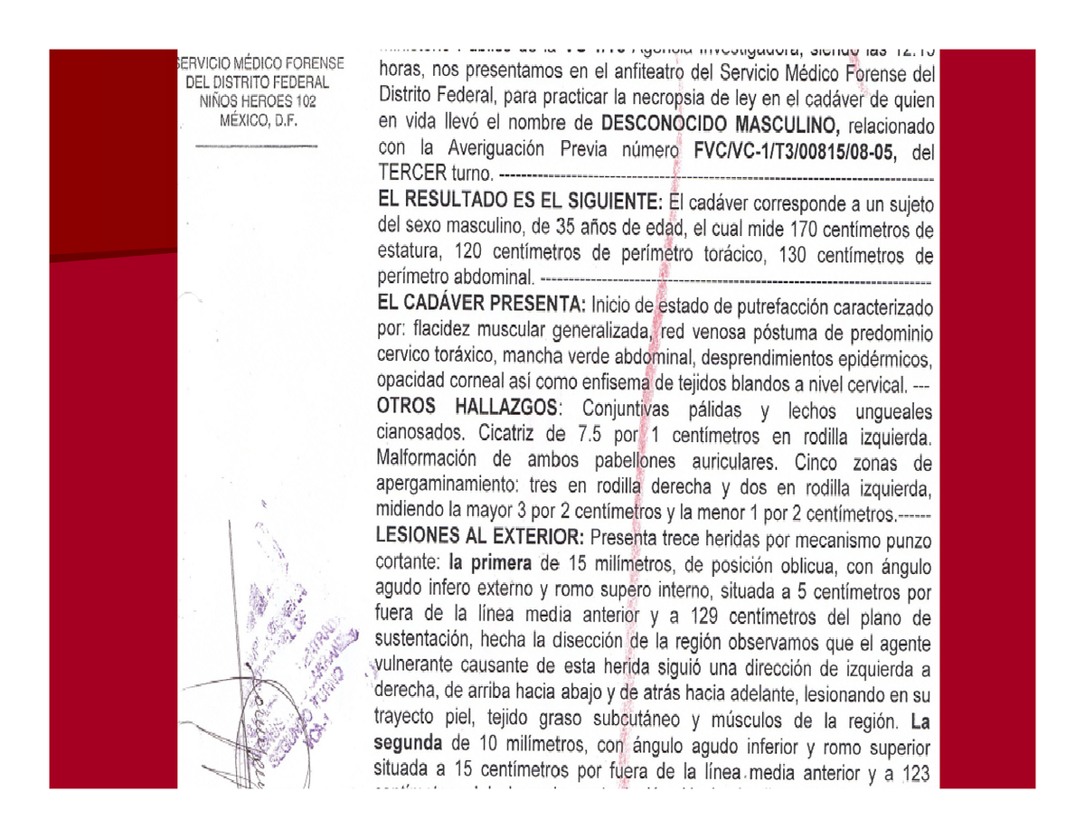 Ejemplo Dictamen De Necropsia Criminalística De Campo Studocu