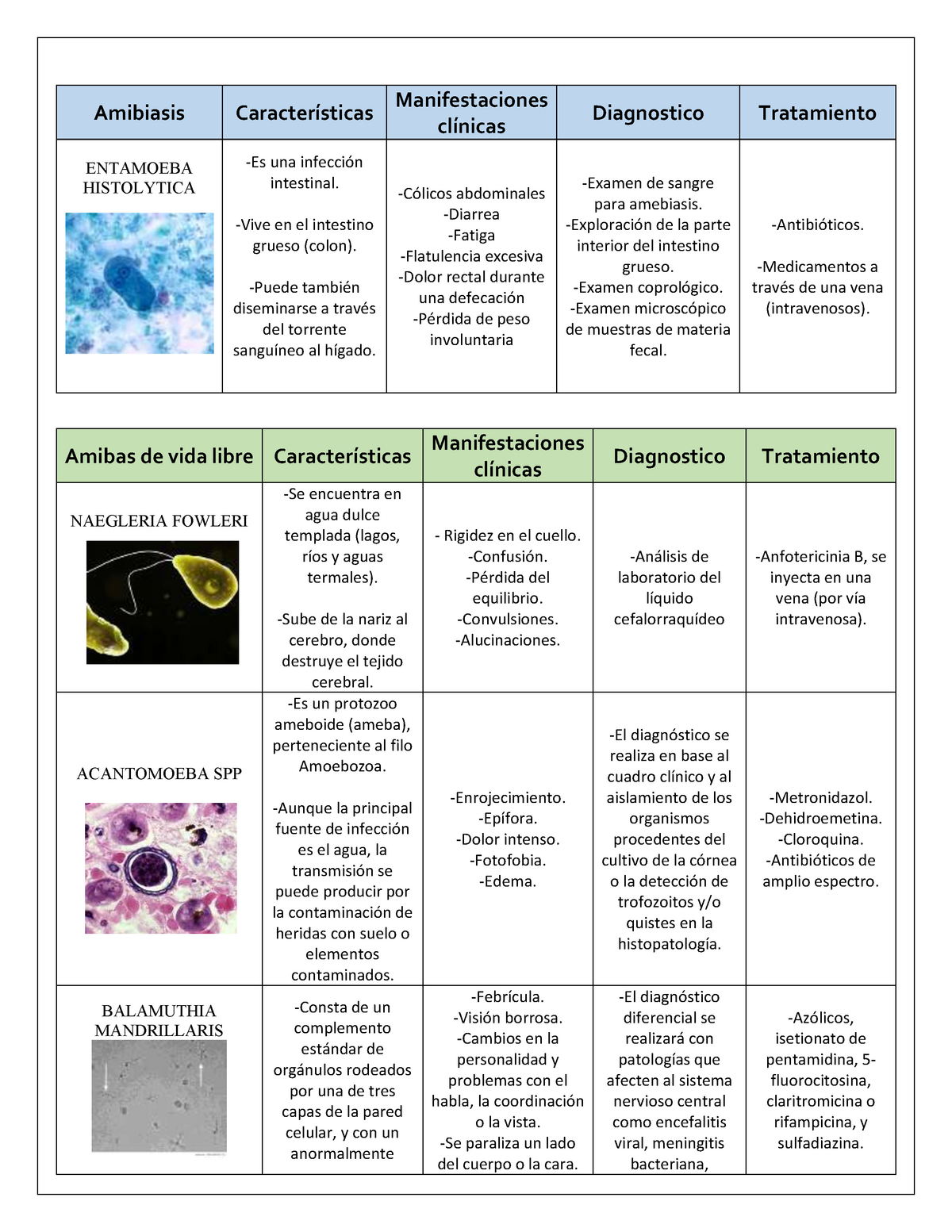 Cuadro Comparativo De Parasitos Cuadro Comparativo De Parasitos Nombre