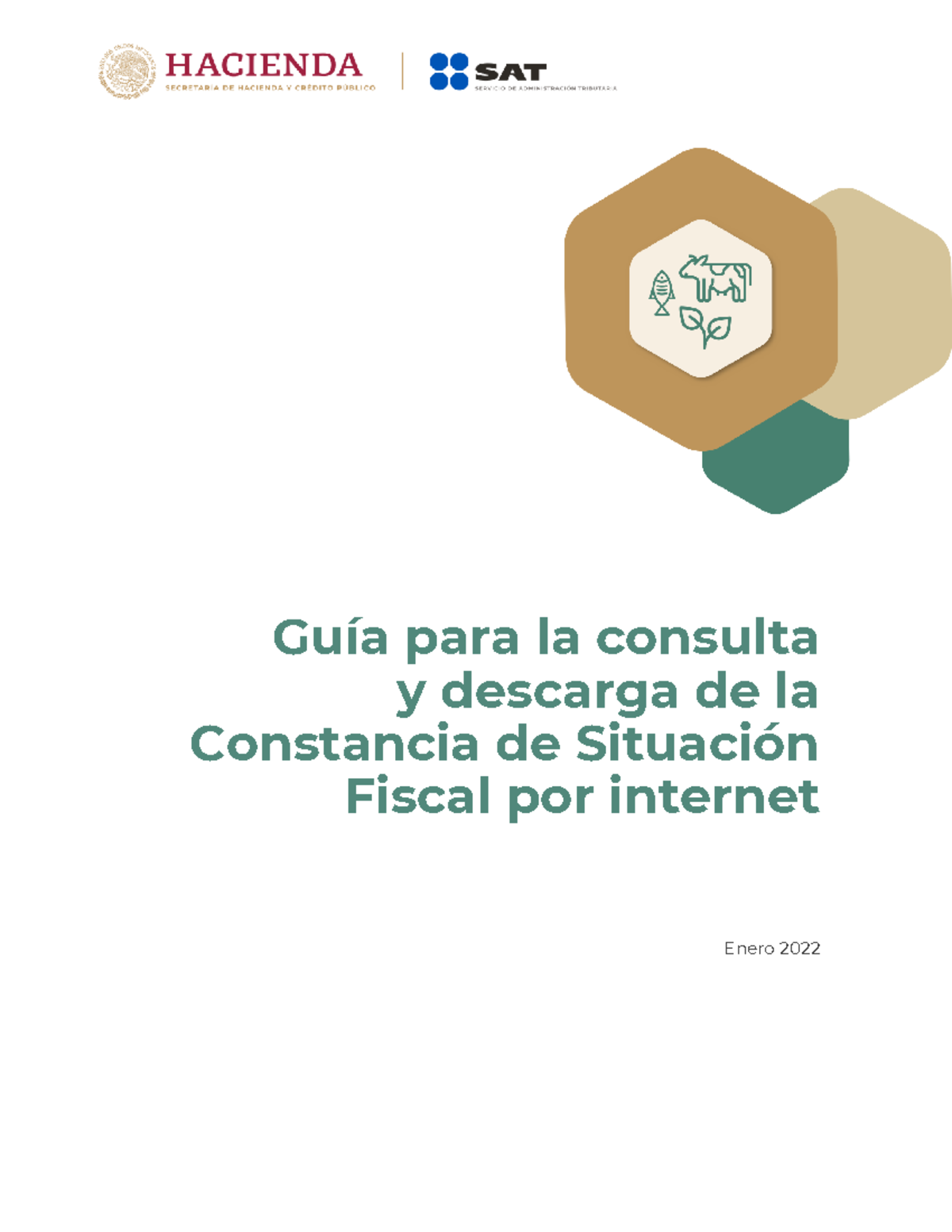 Guia Constancia Situación Fiscal GuÌa Para La Consulta Y Descarga De