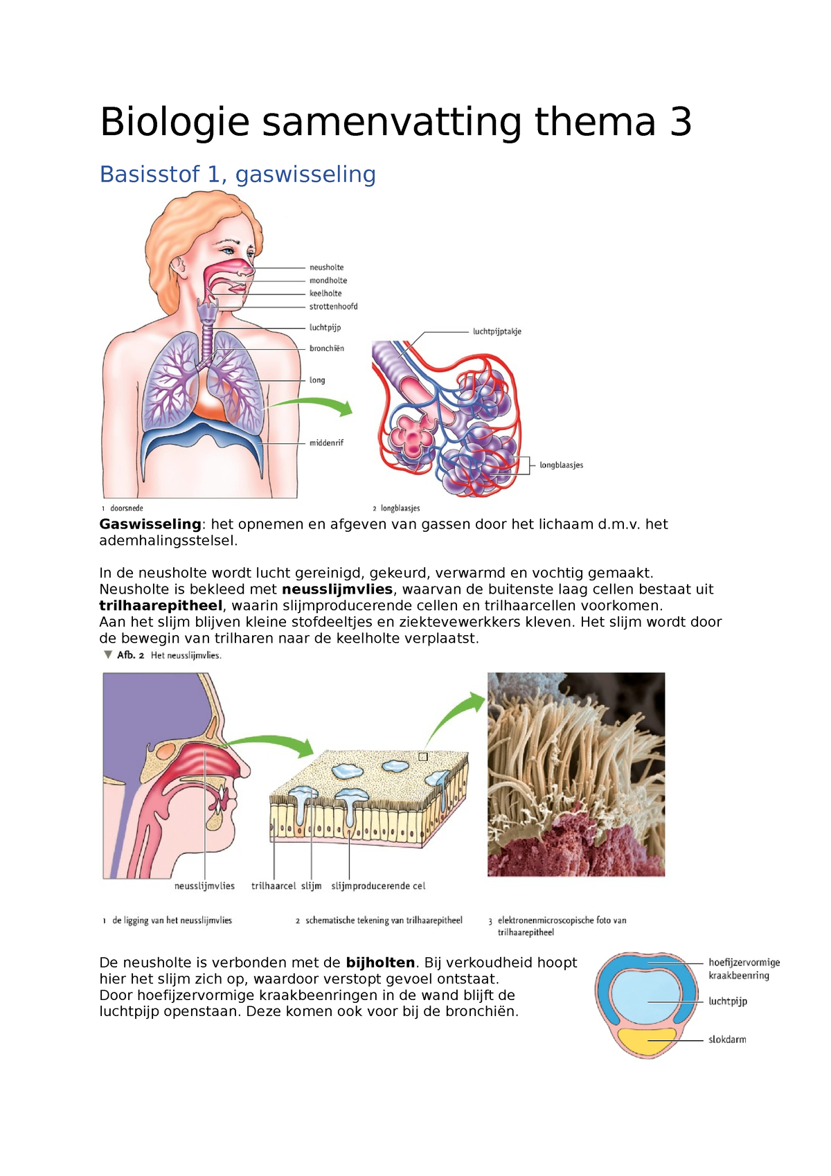 Biologie Samenvatting Thema 3 Biologie Samenvatting Thema 3 Basisstof