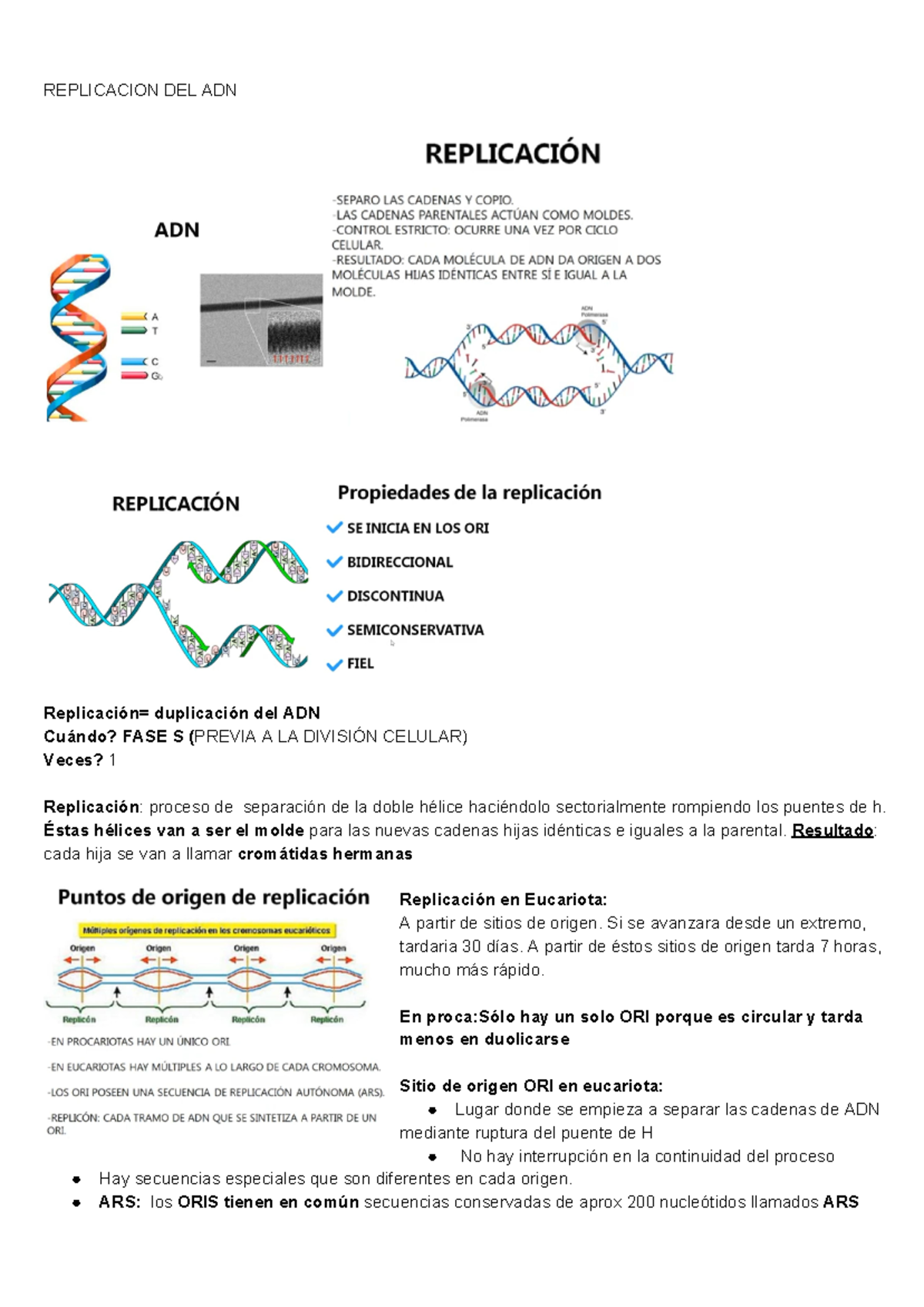 Replicacion Del Adn Resumen De Ultimas Clases De Biologia Celular Cbc