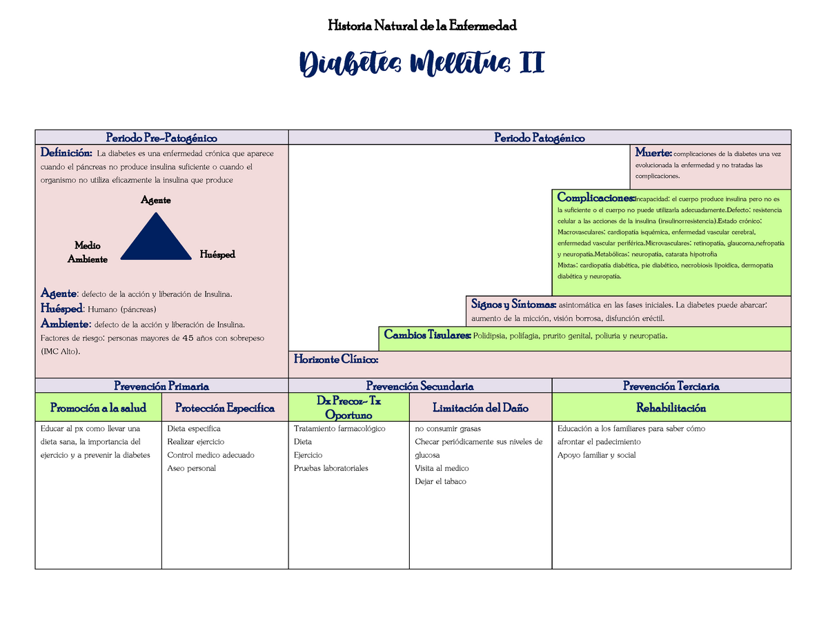 Historia Natural De La Enfermedad Diabetes Mellitus Tipo 2 Periodo