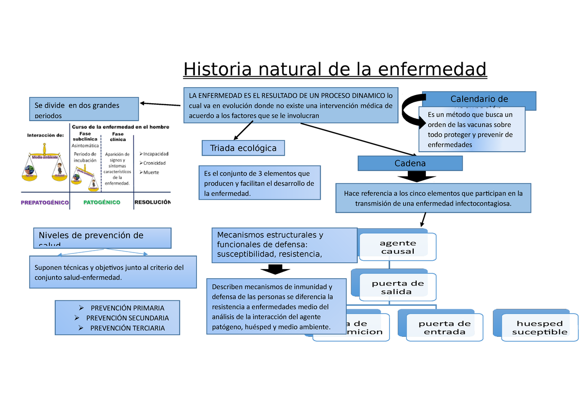 Mapa Conceptual De La Historia De La Enfermedad Afm The Best Porn Website