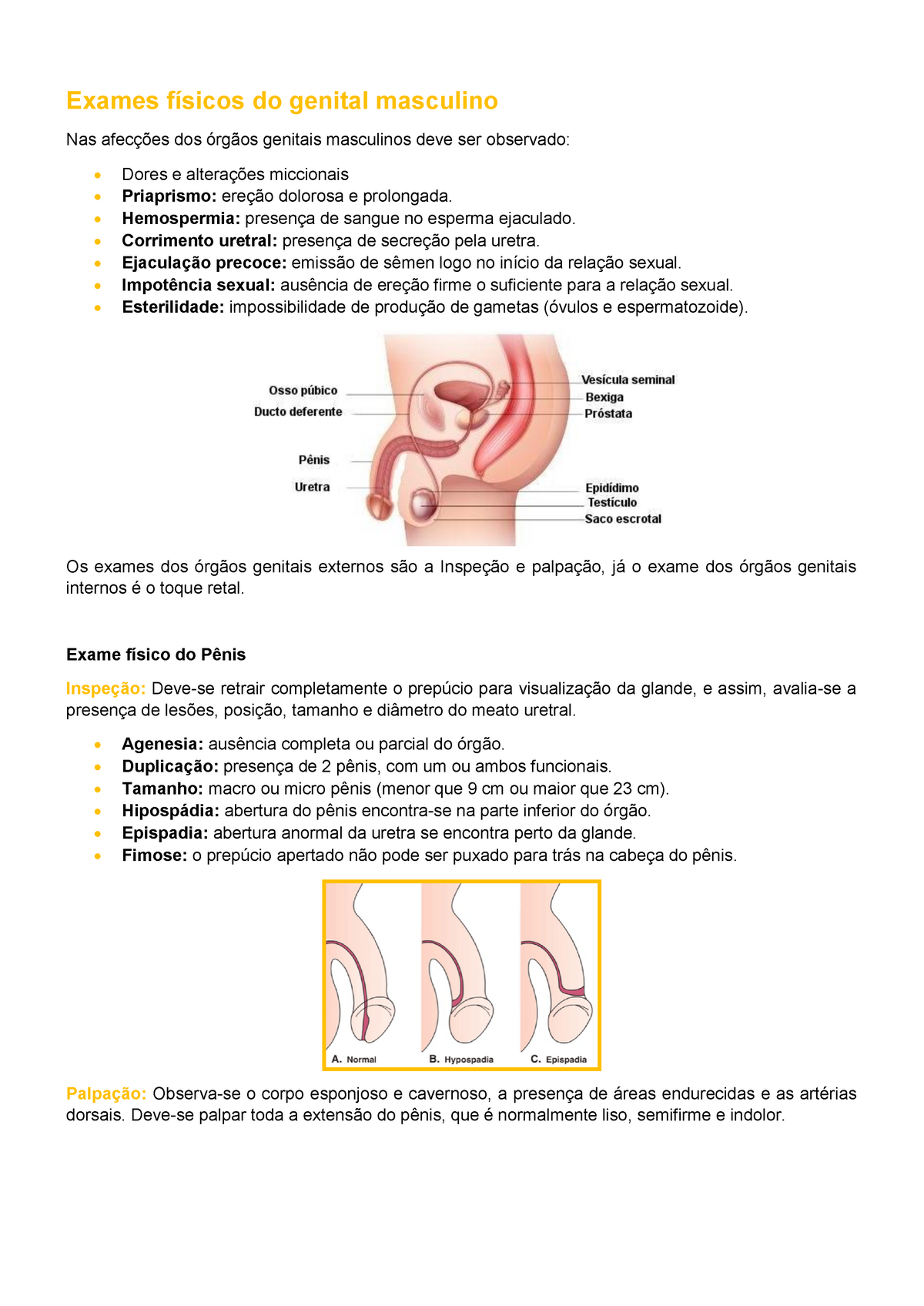 Exame Físico Do Genital Masculino Exames Físicos Do Genital Masculino