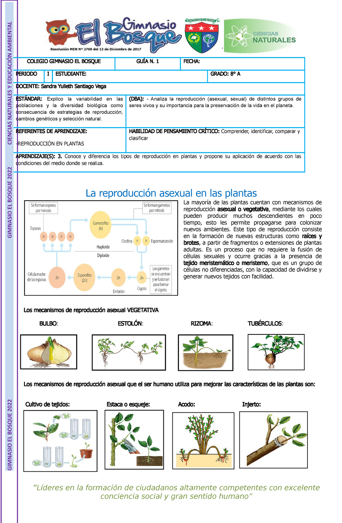 8° Guía Reproduccion En Plantas Conceptos Sobre Los Procesos De