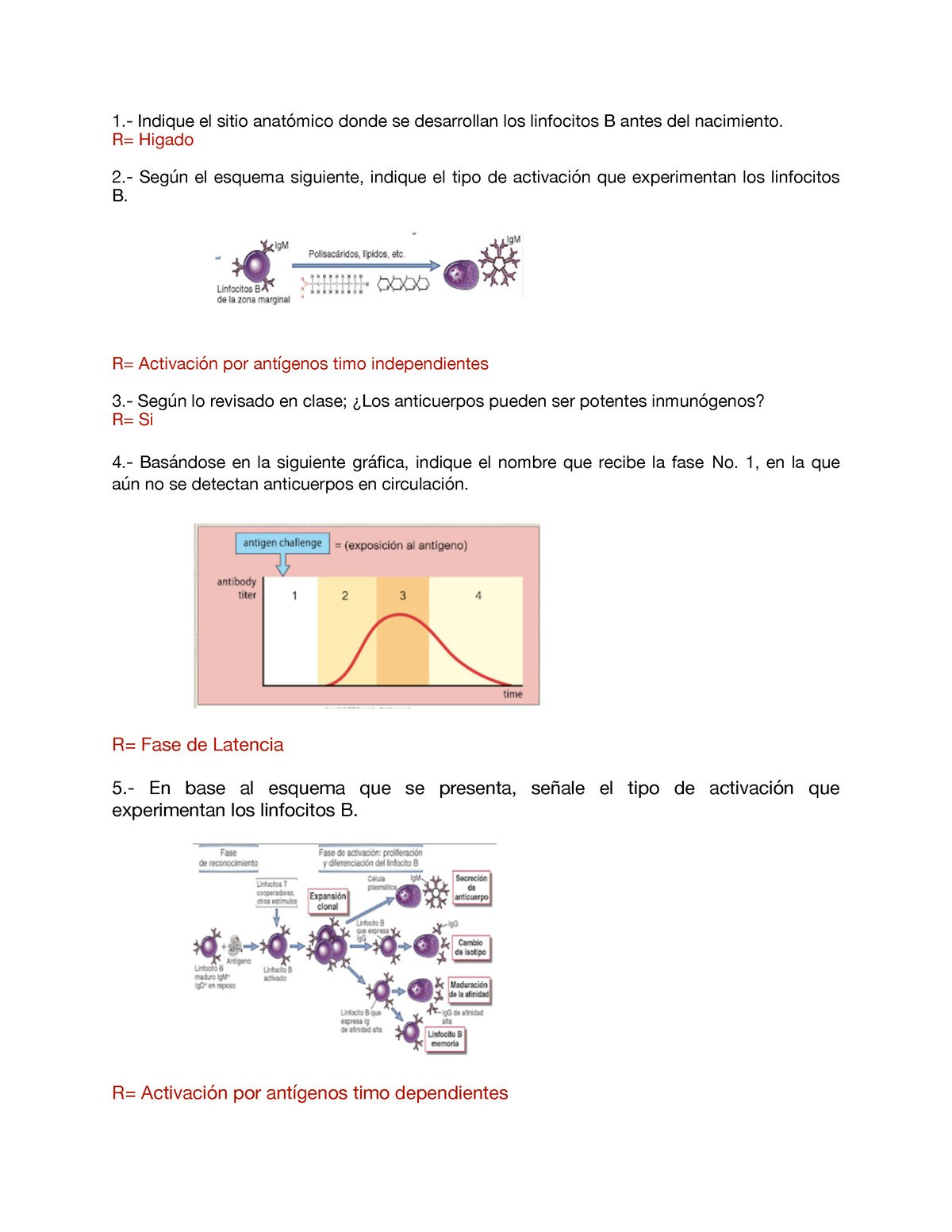 Tercer Parcial De Inmunologia I 1 Indique El Sitio Anatómico Donde