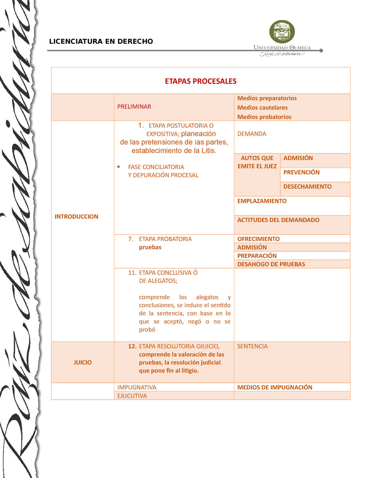 Etapas Procesales Trabjo Etapas Procesales Preliminar Medios