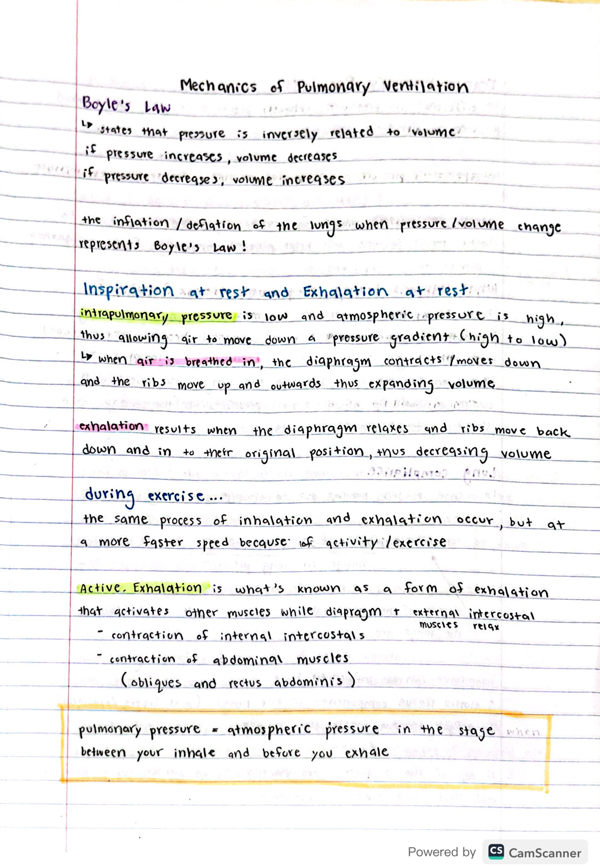 Physiology Review Summary Diagrams Descriptions Biology 1002b