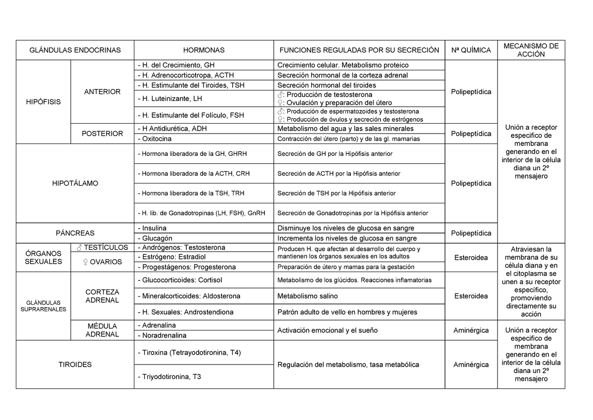 Glándulas Endocrinas GlÁndulas Endocrinas Anterior Hormonas H Del