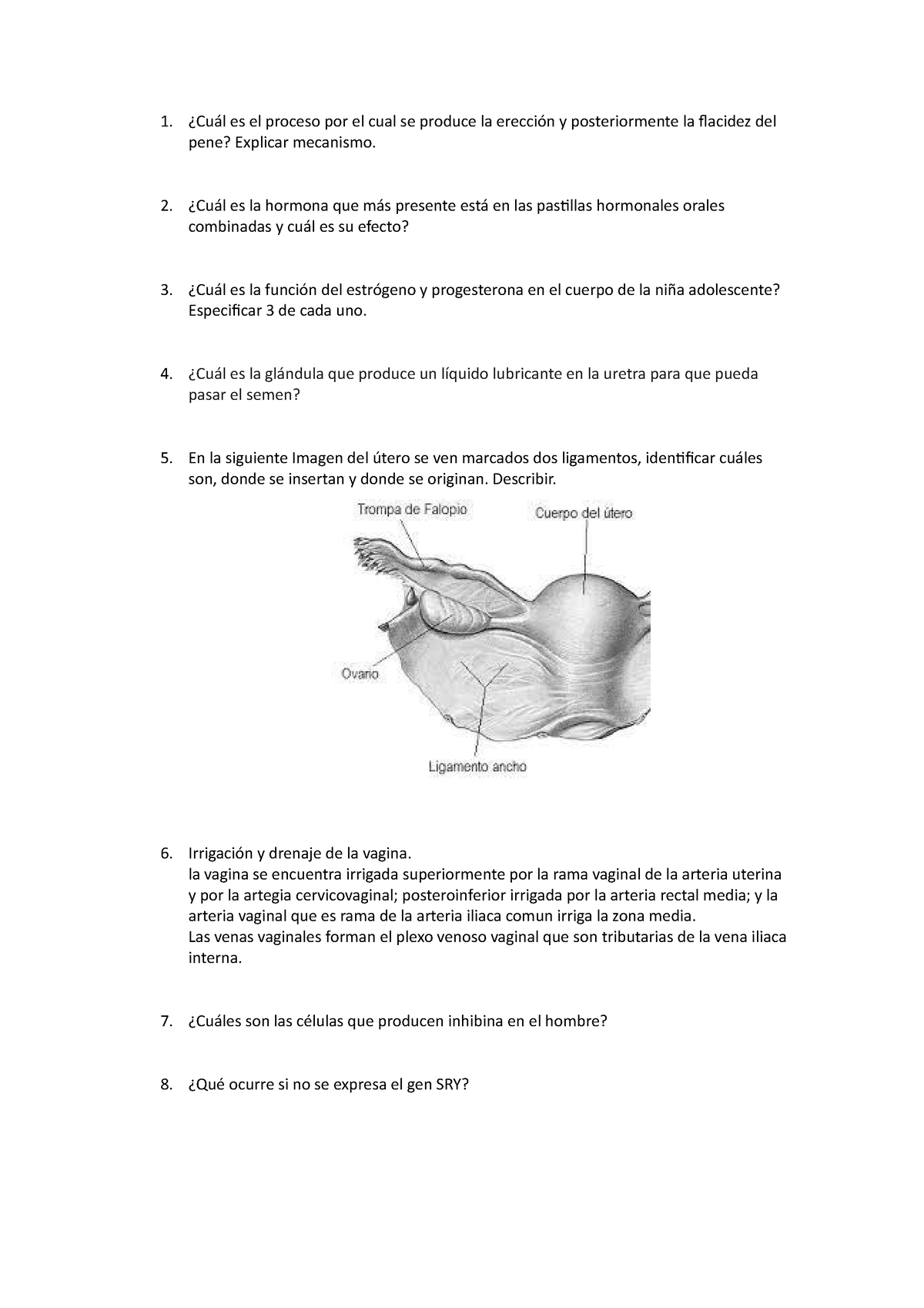 Parcial Sex ¿cuál Es El Proceso Por El Cual Se Produce La Erección Y