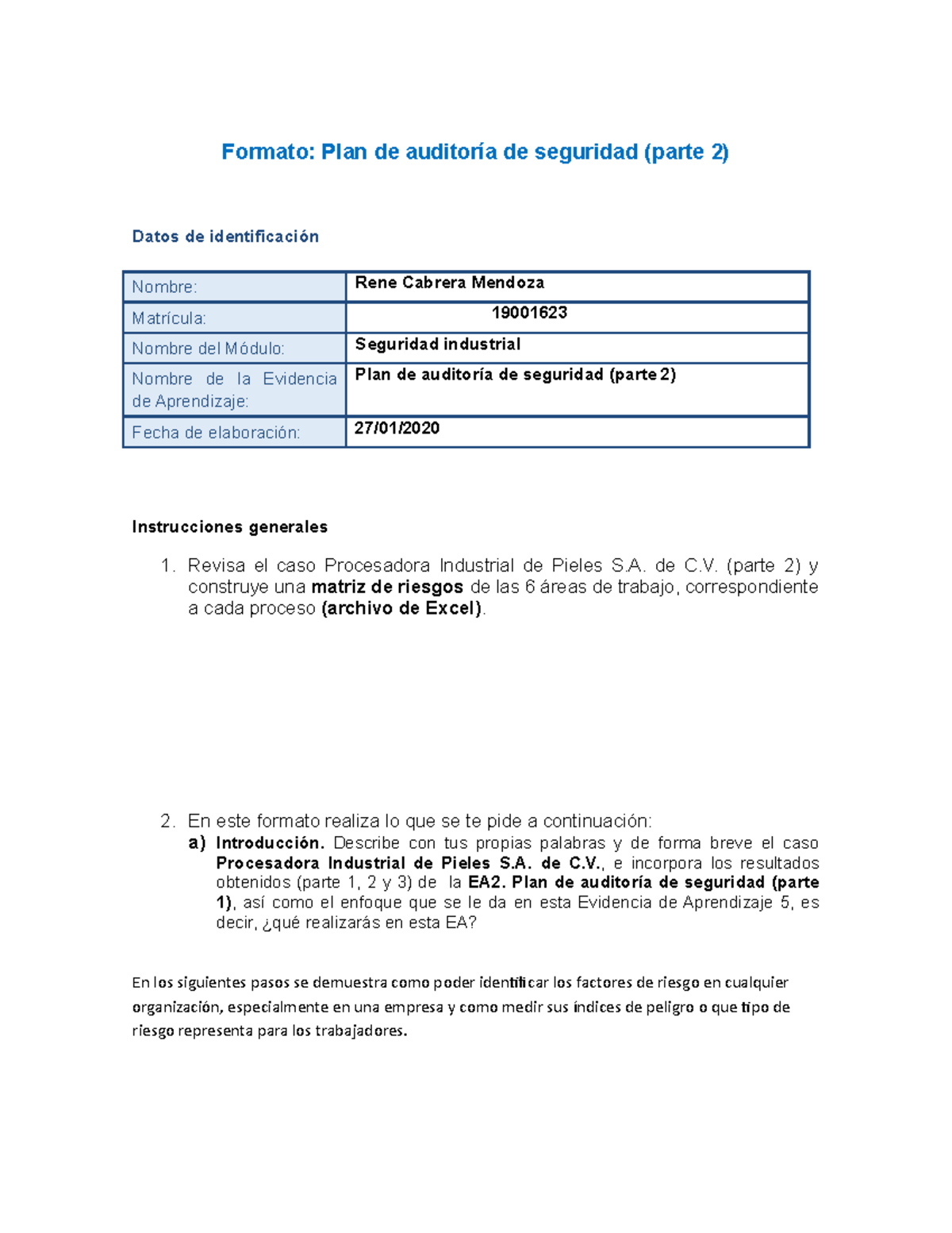 Rene Plan Auditoria Seguridad Ll Formato Plan De Auditoría De