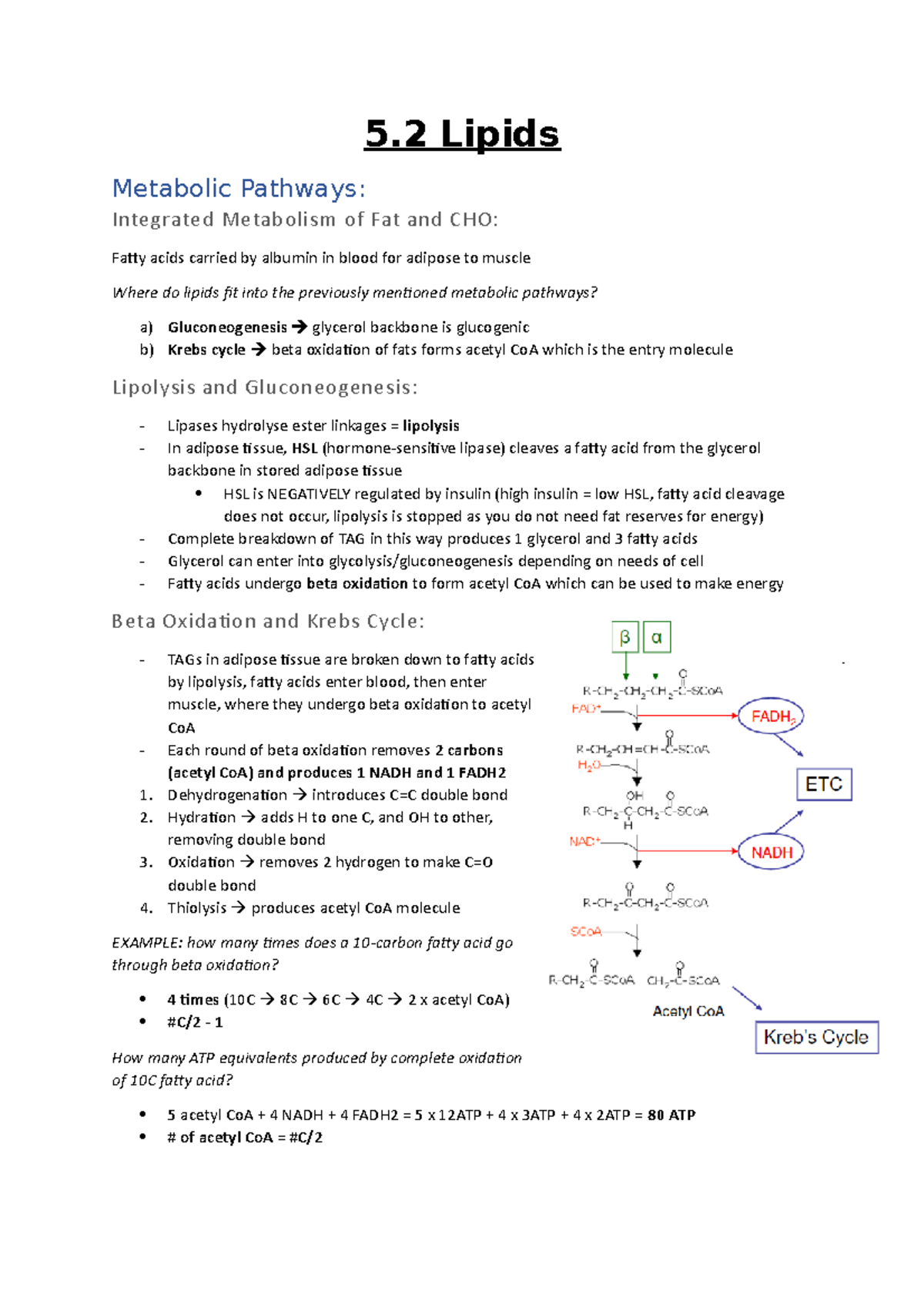 52 Lipids Lecture Notes Part 1 Nutr3210 5 Lipids Metabolic Pathways