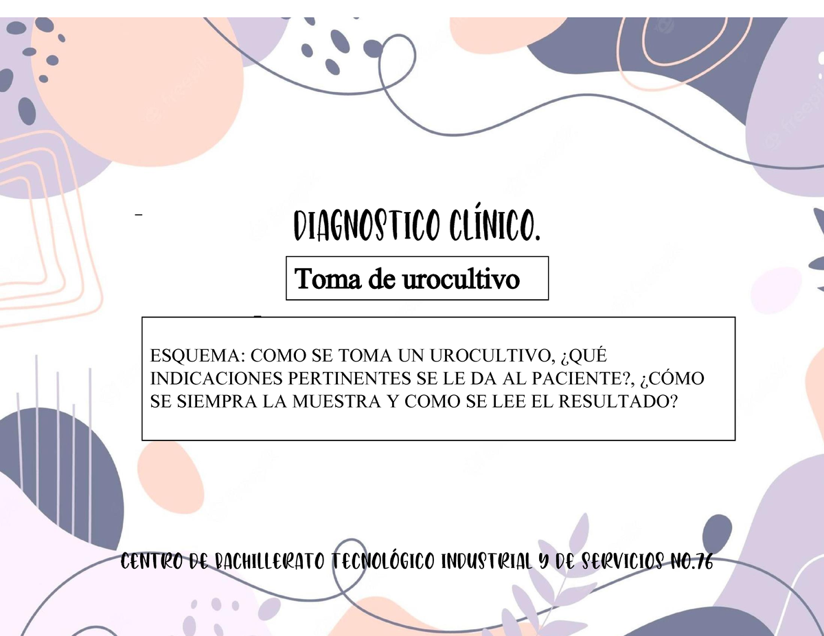 Esquema Para La Toma De Un Urocultivo Toma De Urocultivo Esquema