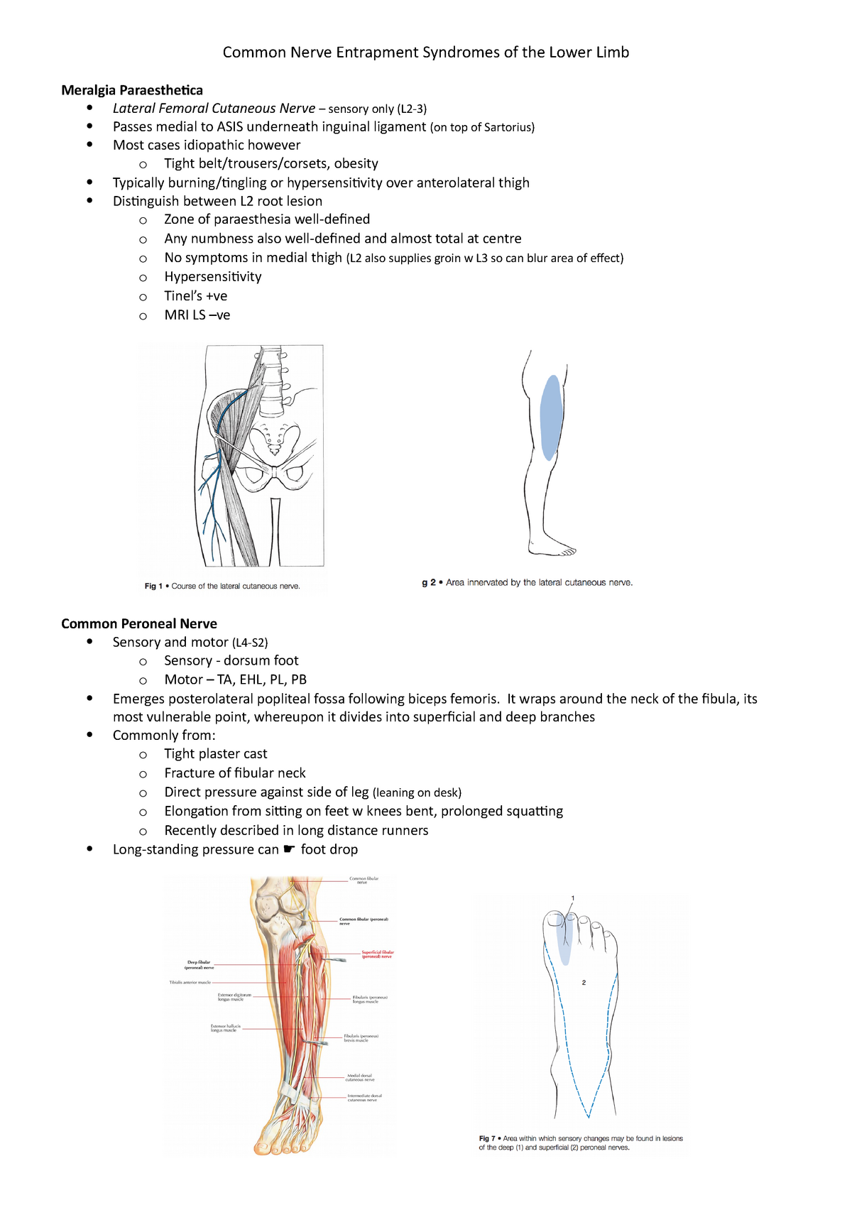 Common Nerve Entrapment Syndromes Of The Lower Limb It Wraps Around