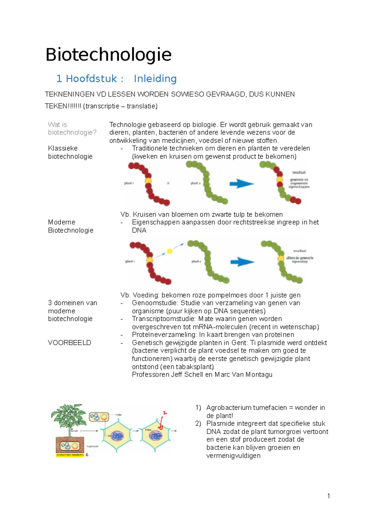 Samenvatting Biotechnologie Biotechnologie 1 Hoofdstuk Inleiding