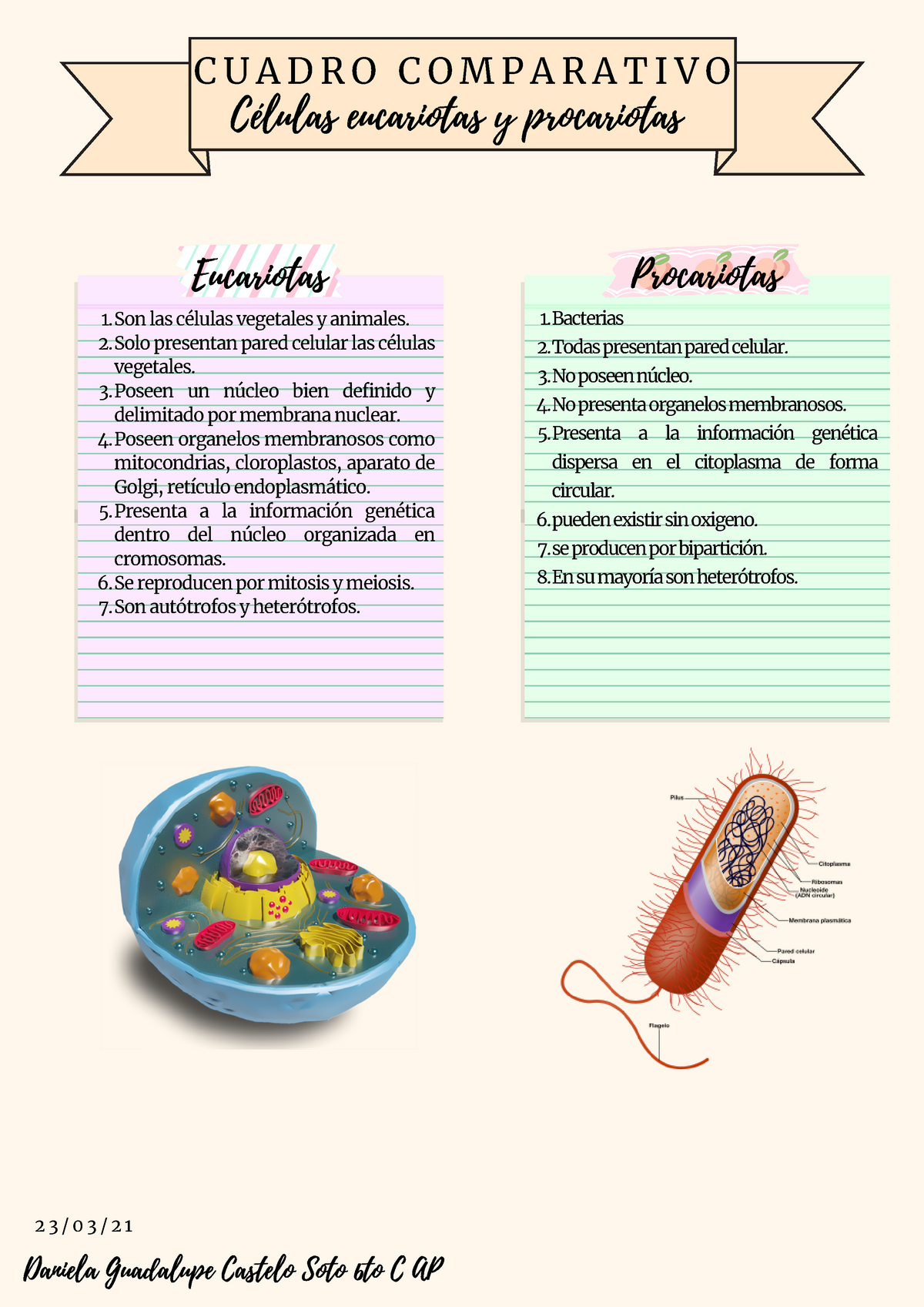 Cuadro Comparativo C Lulas Eucariotas Y Procariotas Studocu Hot Sex