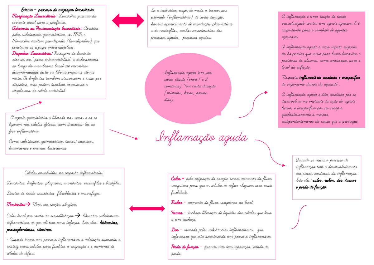 Mapa Mental Inflamação Aguda Patologia A Inflamação é Uma Reação Do