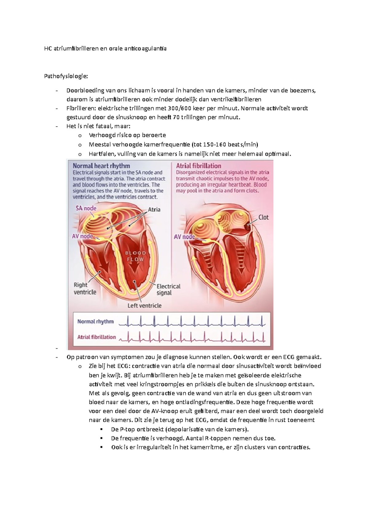 Hc Atriumfibrilleren En Orale Anticoagulantia Hc Atriumfibrilleren En