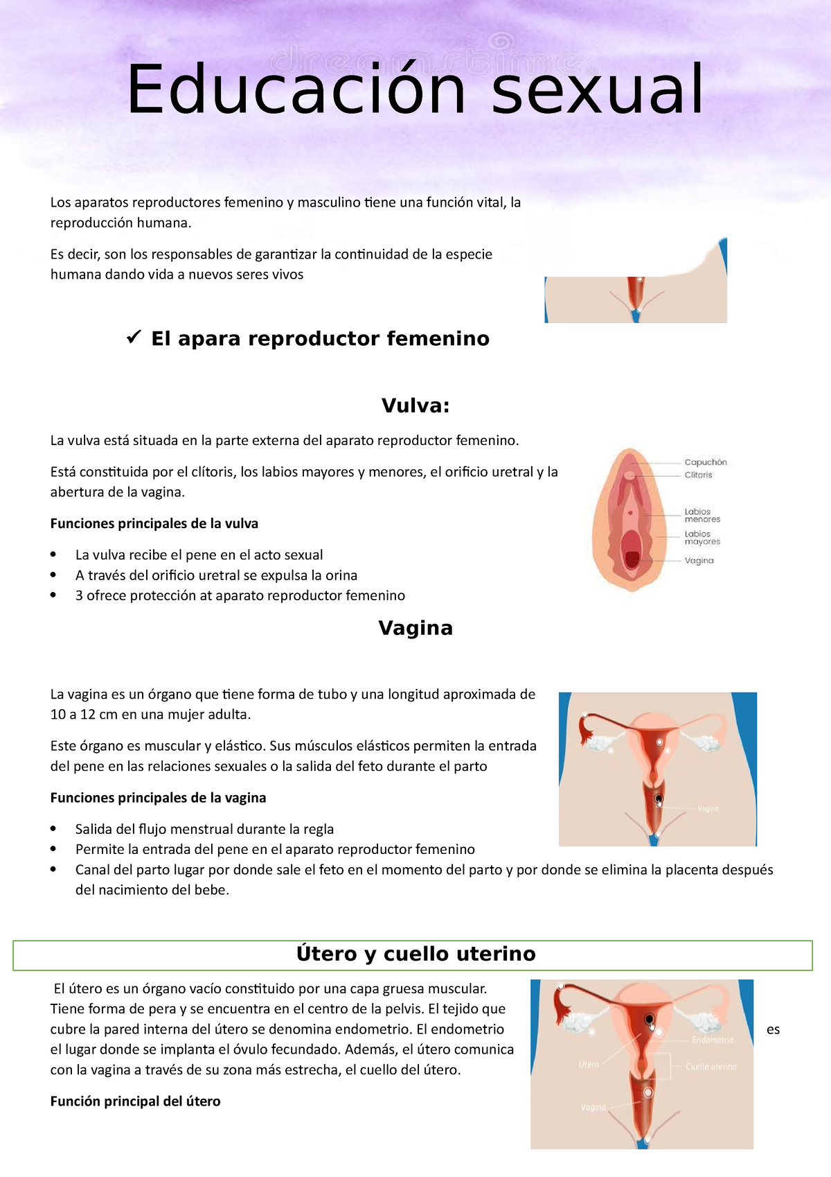 4aparato Reproductor M Y H Educación Sexual Los Aparatos