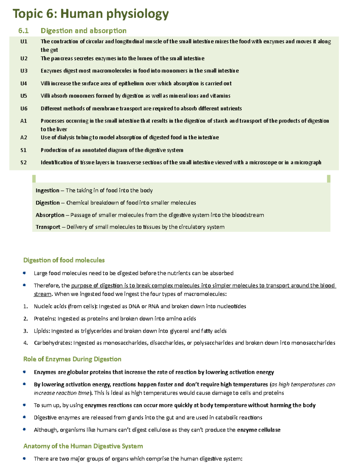 6 Physiology Ib Biology Topic 6 Human Physiology 6 Digestion And