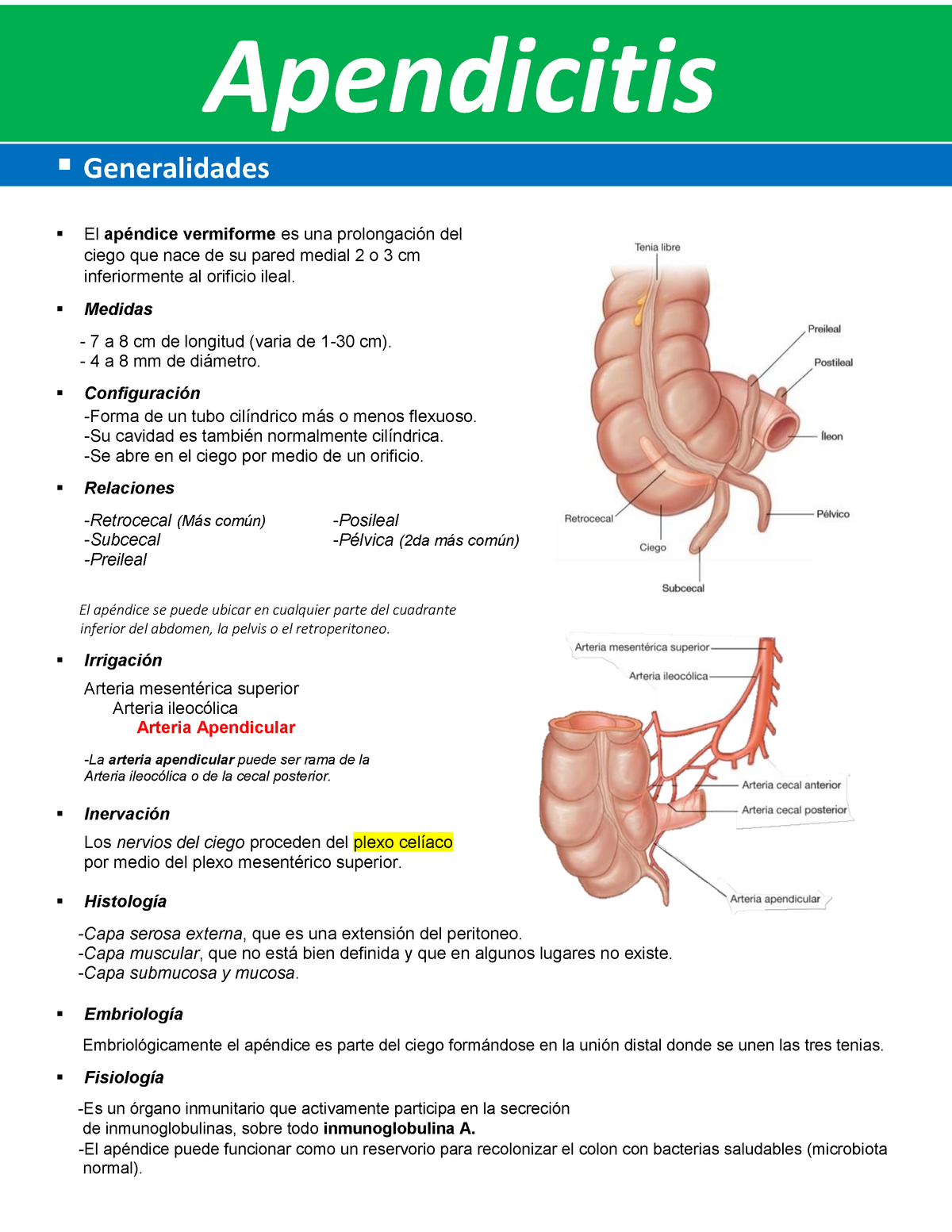 Apuntes Apendicitis Aguda Apendicitis Generalidades El Apéndice