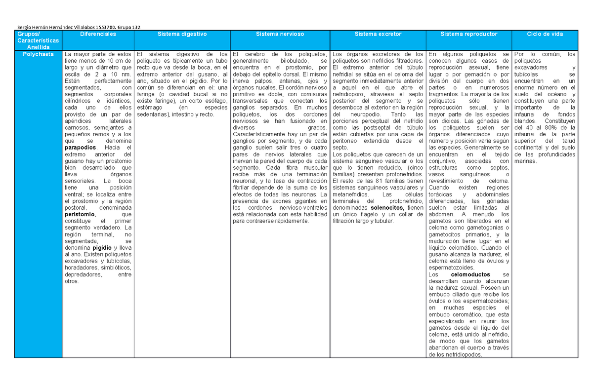 Esquema De Doble Entrada