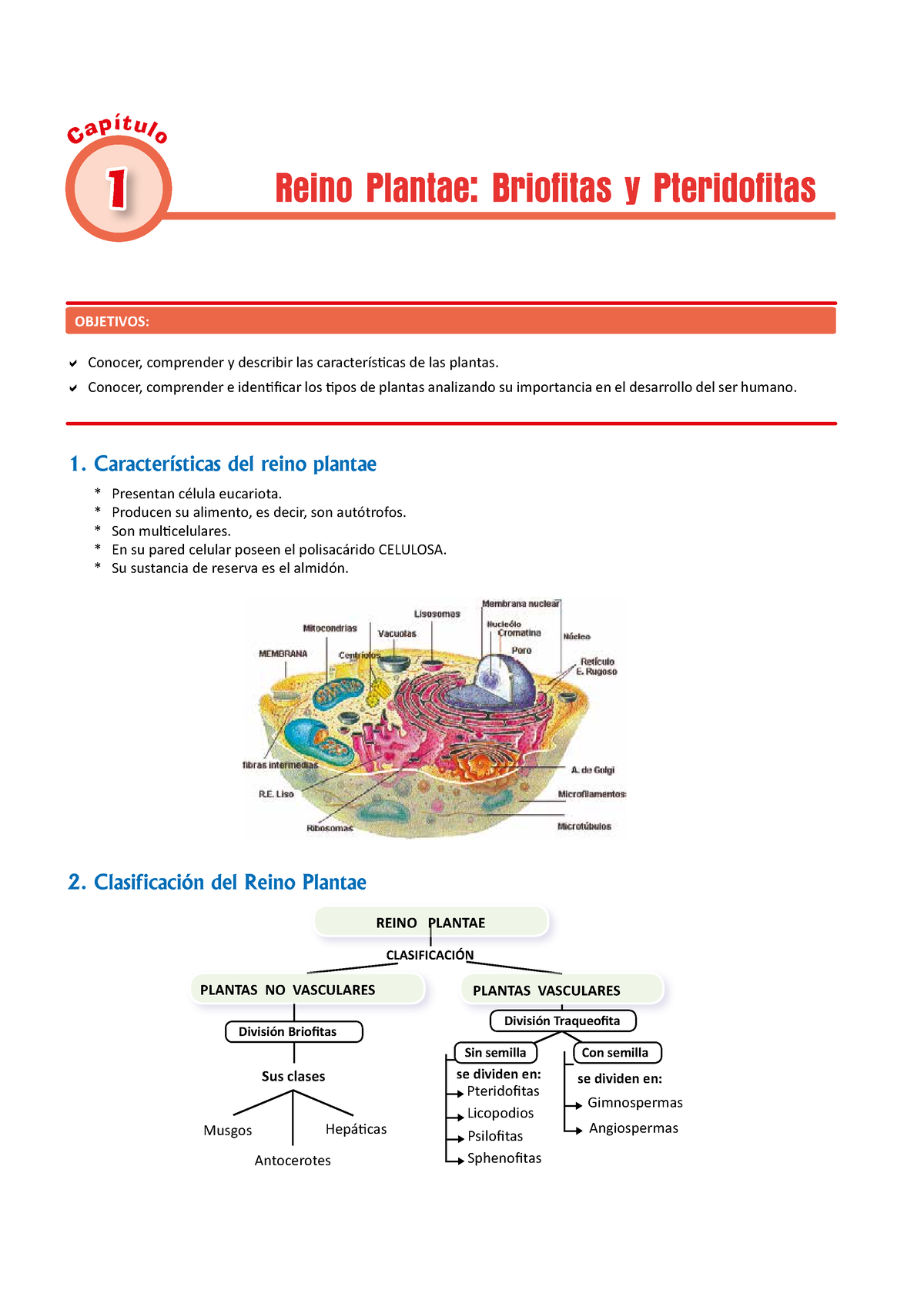 Reino Plantae Ficha Tecnica A Conocer Comprender Y Describir Las